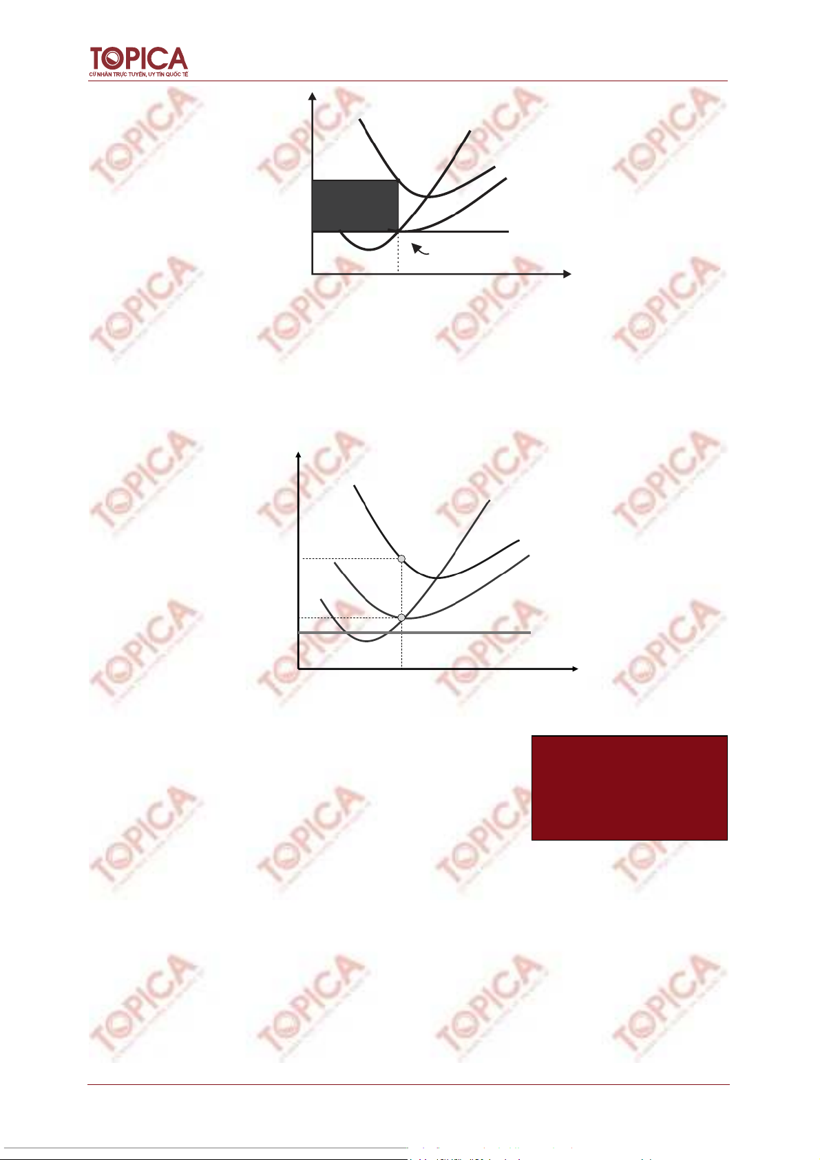 Nghiên cứu Thị Trường Cạnh Tranh Hoàn Hảo (CTHH) và Lợi Nhuận Hãng môn ...