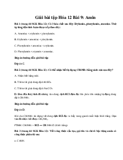 Giải bài tập Hóa 12 bài 9: Amin | PDF