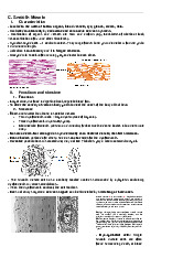 muscle tissue-smooth muscle | PDF