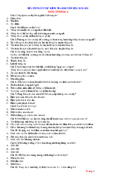 Đề cương ôn thi HK1 Tin Học 6 kết nối tri thức | PDF