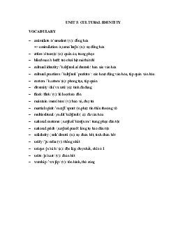 Từ vựng Unit 5 lớp 12 Cultural Identity | PDF