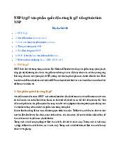 NNP là gì? Sản phẩm quốc dân ròng là gì? Công thức tính NNP | PDF