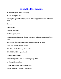 Hóa 12 bài 9: Amin | PDF